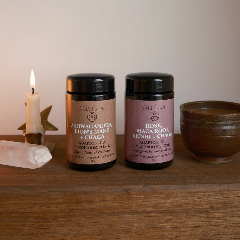 Medicinal Mushroom Elixirs – Wild Craft Tasmania
